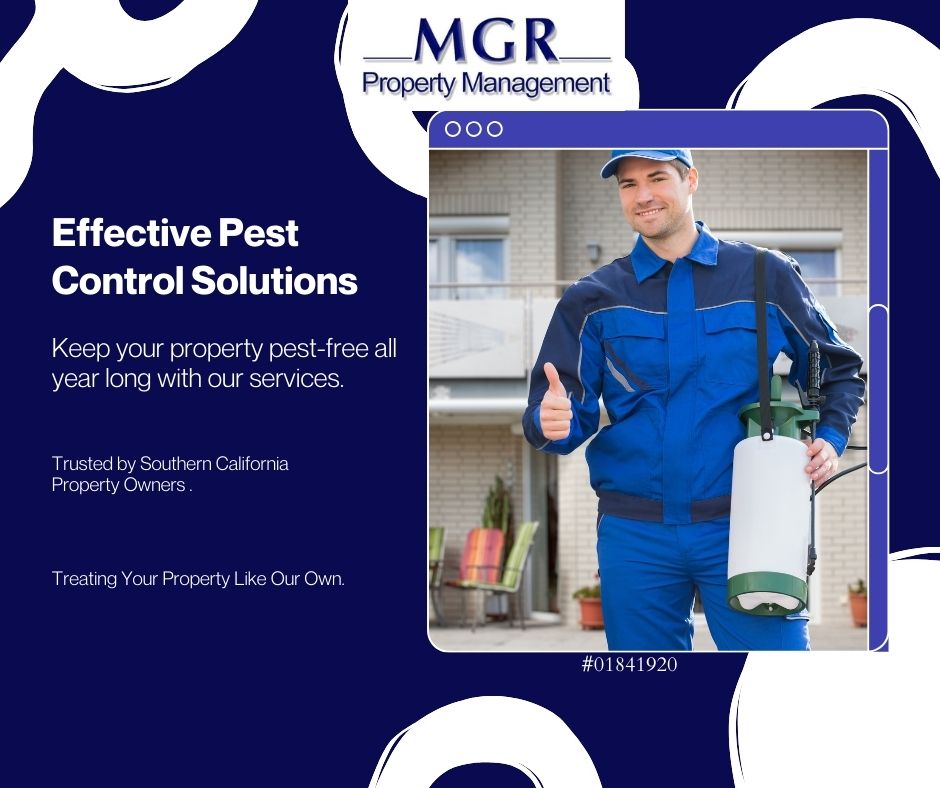Effective Pest Control Solutions from MGR Property Management - MGR